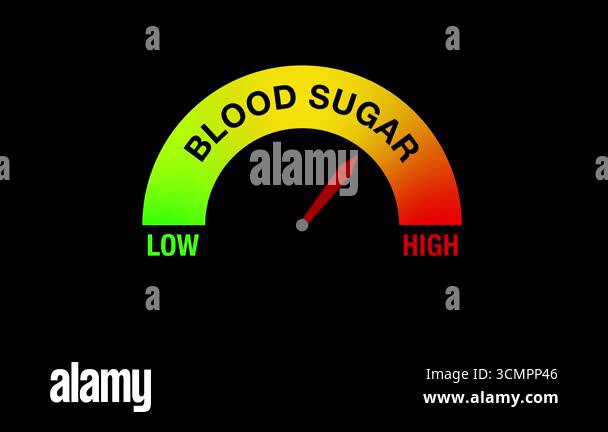 Animation of a blood sugar level gauge displaying low and high levels ...