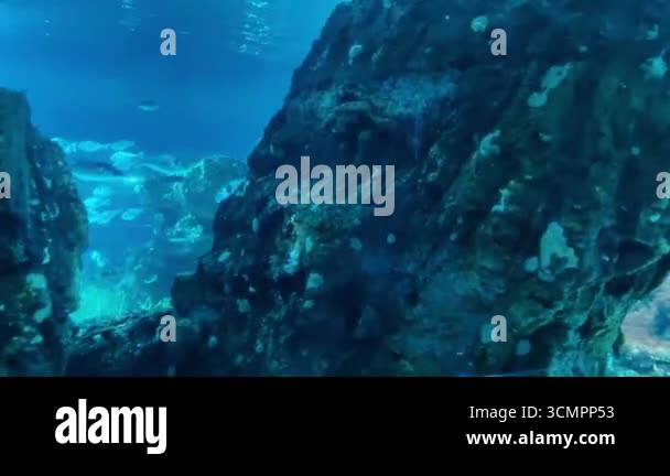 Underwater scene featuring a large rocky formation surrounded by deep ...