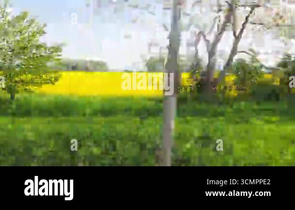 Tranquil spring landscape featuring lush green grass and a vibrant ...