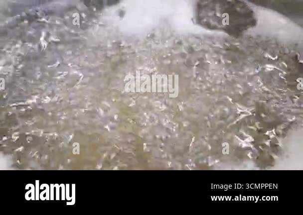 Boiling water in a stainless steel pot creates a dynamic scene of ...