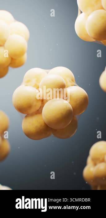 Biomedical microscopic fat cells structure, 3d rendering Stock Video ...