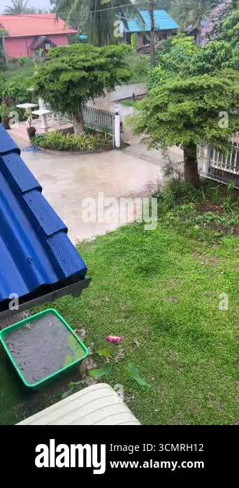 4K video of rain falling on lush green grass and trees, captured from an upstairs window. Serene ...