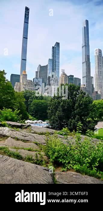 Greenery meets skyscrapers in CP. Tall buildings rise behind lush trees ...