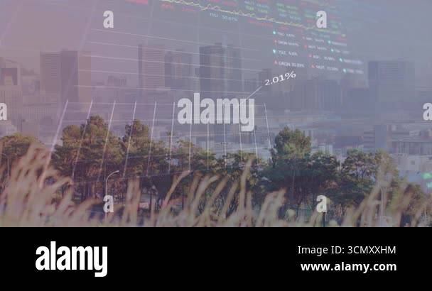 Data Grid Fading Over Skyline Graph Animating Labels Rings Forming Then Fading Visualizing