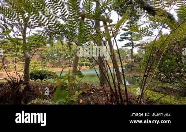 Daytime lakeside view Stock Videos & Footage - HD and 4K Video Clips ...