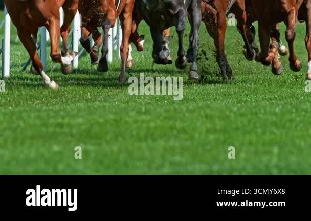 Super Slow Motion of Running Horses on Derby in Detail of Horses Legs ...