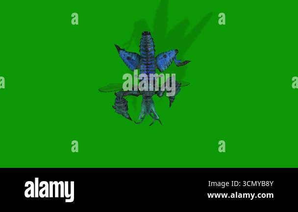 3D Creepy Bug Monster idle Scene From Sky On Green Screen Background ...