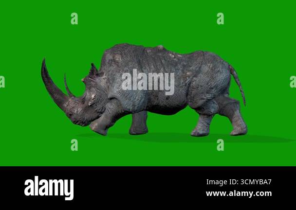3D Rhino Animation on Green Screen-Walking From Left Side Stock Video ...