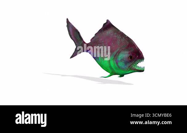 3D Creepy Fish Animation on Green Screen-Swim From Right Side Stock ...