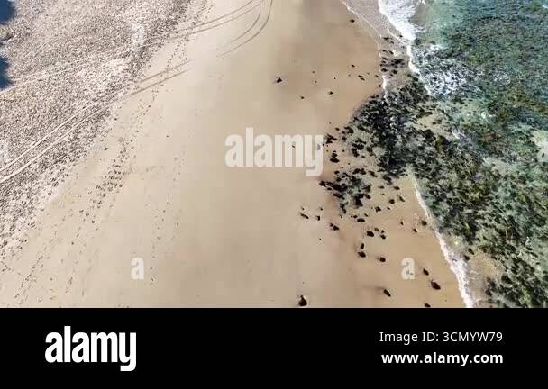 Aerial view of beach and ocean interaction Stock Video Footage - Alamy