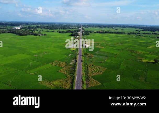 Aerial shot of a indian road going through rice paddy fileds in Odisha ...