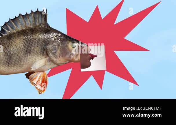 Creative video ad. Surreal fish with human mouth sticking tongue out on ...