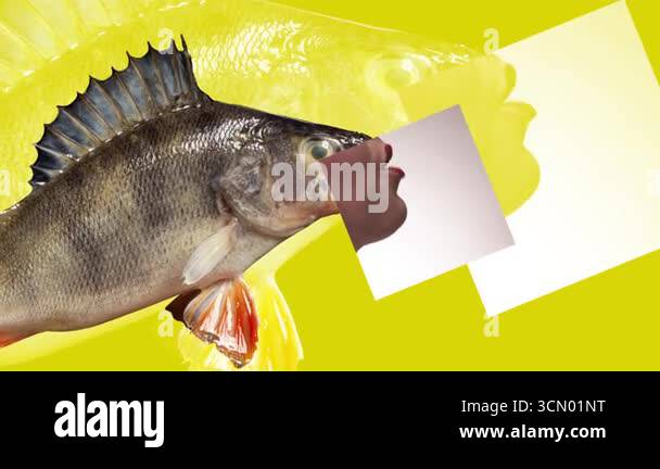 Absurd art composition. Fish with talking human lips on bright yellow ...