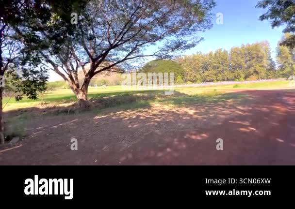 Peaceful scene with trees and open field Stock Video Footage - Alamy