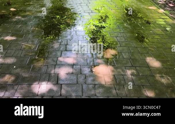Sunny glare of the sun on a park path laid out with tiles. Reflection ...