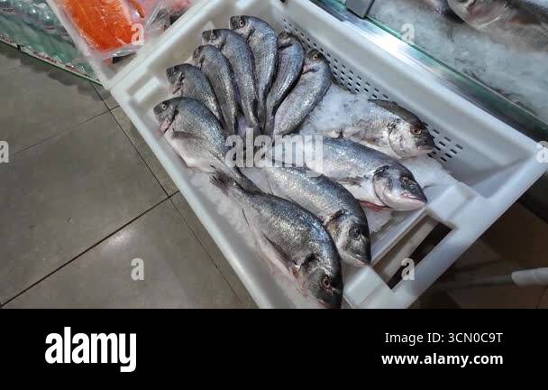 LVIV, UKRAINE - AUGUST 25, 2025: Chilled dorado fish, sea bream or ...