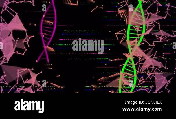 Blinking RGB lines starting dual helices forming pulsing pink net ...
