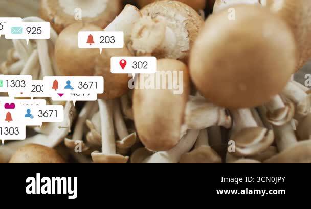 Mushroom cluster opening with popping numbered bubbles and filling icons representing engagement ...