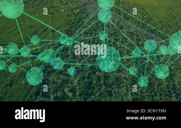 Green network fading into view over meadow, panning and revealing nodes ...