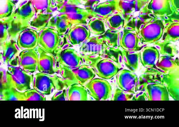 creative and design art work, copy space wallpaper, abstract colorful ...