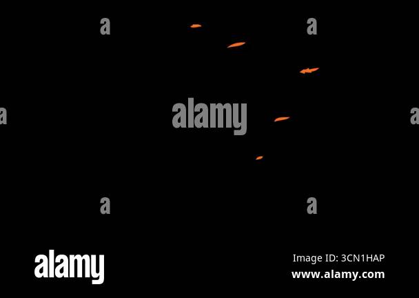 Minimalist Abstract Art Motion Graphics with Gentle Floating Orange ...