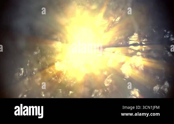Sun casting shadows through Stock Videos & Footage - HD and 4K Video ...