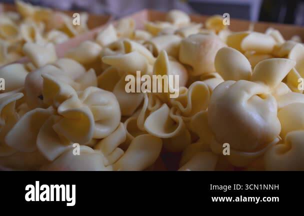 Close-up view of raw homemade tortellini pasta in cardboard trays ...