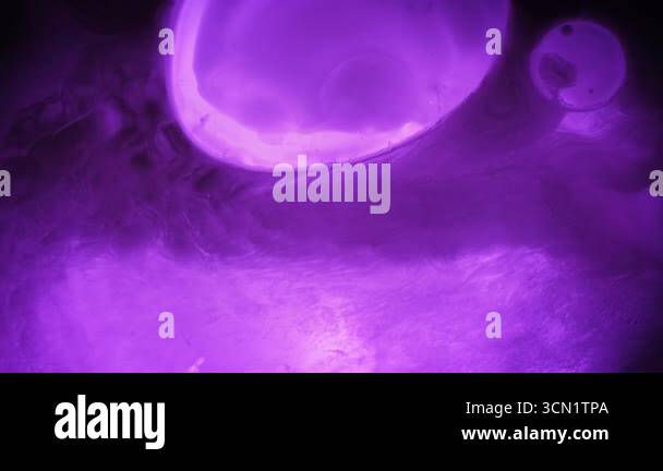 Fluid molecular. Liquid wave. Defocused purple lilac neon color water ...