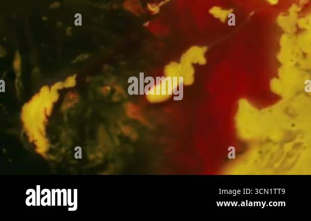 Acrylic pigment. Color water. Defocused yellow red crimson fluid liquid ...