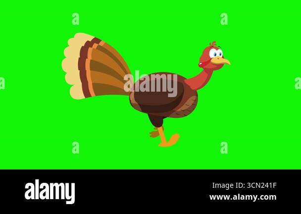 Cute Thanksgiving Turkey Cartoon Character Running. 4K Animation Video ...