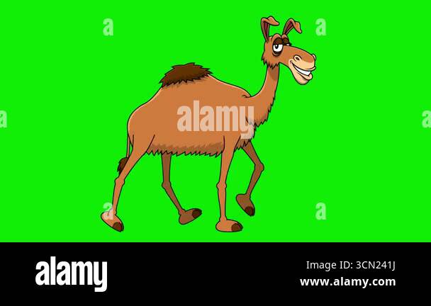 Funny Camel Cartoon Character Walking. 4K Animation Video Motion ...
