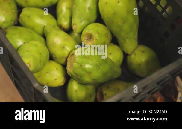 Mexico fruit market fresh cactus nopales closeup. High quality 4k ...
