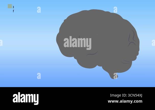 Vector human head silhouette Stock Videos & Footage - HD and 4K Video ...