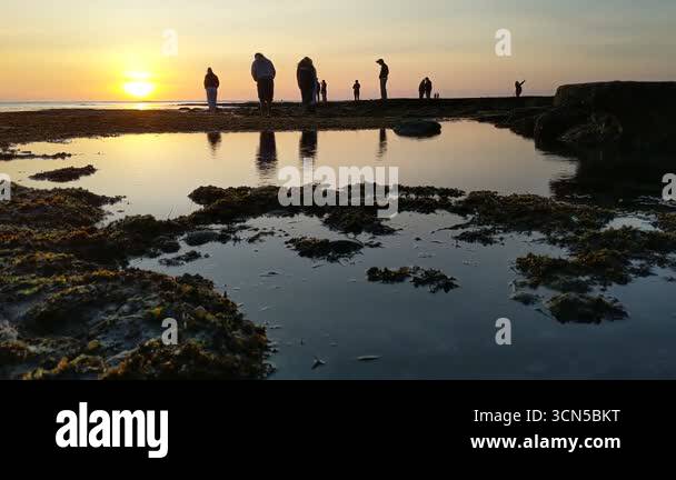Low tide sunset Southern California coastal scenes with ancient reefs ...