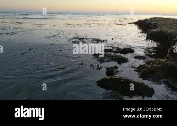 Southern California coastal scenes with ancient reefs, tide pools ...