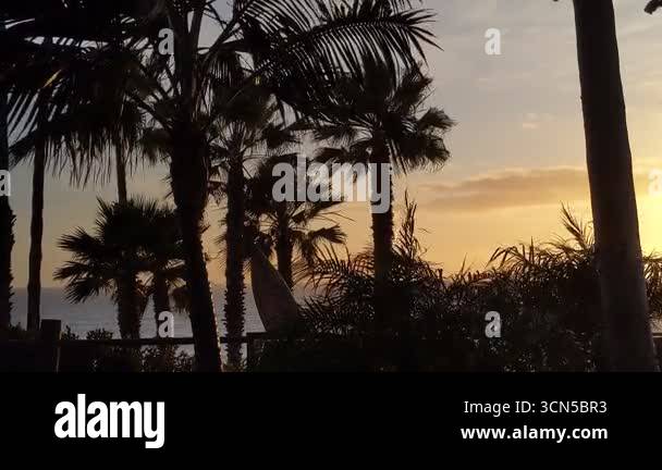 Southern California beach scenes north of San Diego - golden sunsets ...