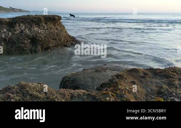 Low tide sunset Southern California coastal scenes with ancient reefs ...