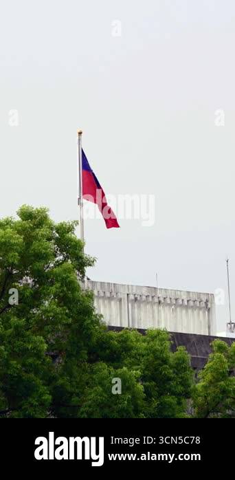 Vertical Slow motion of Taiwan flags fluttering in the wind with tree ...