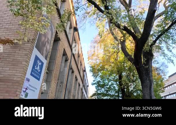 Tree beside building at Melbourne University Stock Video Footage - Alamy