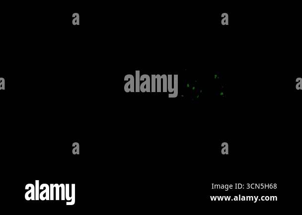 Animated green swirl and splash effects on black background for visual ...