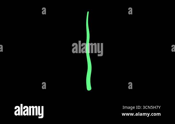 Abstract Minimalist Animation of Vertical Green Lines on Black ...