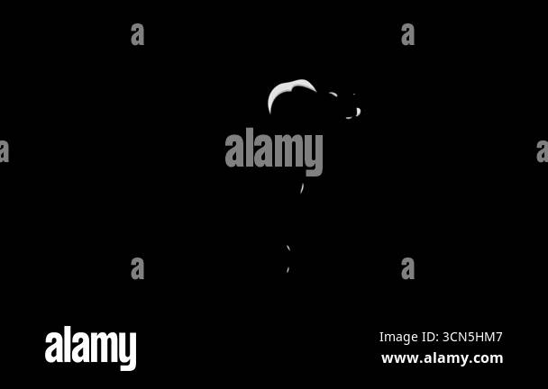 Animated Smoke or Steam Animation Loop Sequence with Rising White ...