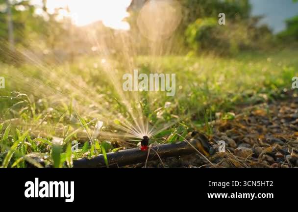 Irrigation nozzle spraying water close-up at sunset in slow motion ...