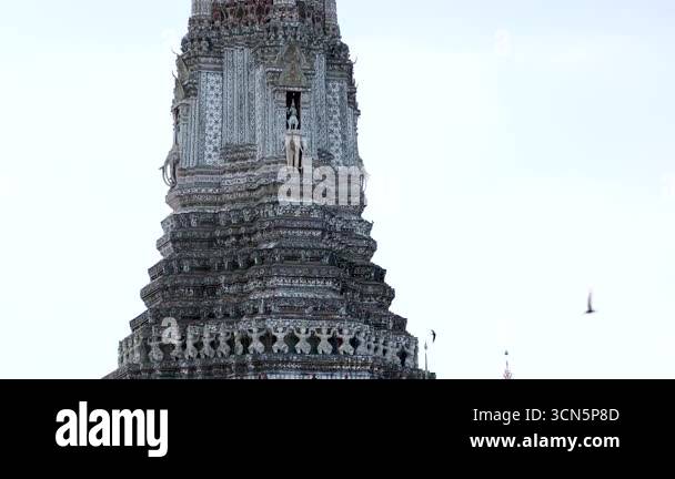 Wat Arun temple with birds flying around Stock Video Footage - Alamy