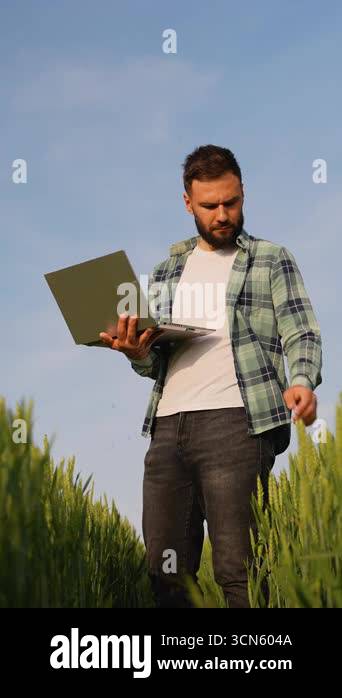 Modern agriculture practices involve a farmer using a laptop in a wheat ...