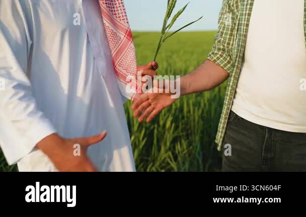 Experienced farmers concluding agricultural business partnership ...