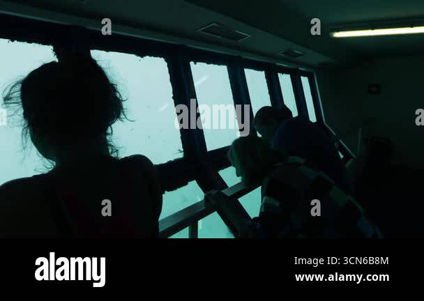 Tourists enjoy a unique underwater experience aboard a submarine, with ...