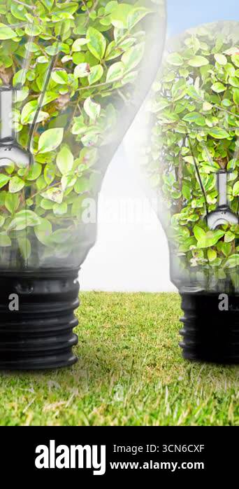 Animation of light bulbs full of plants over blue sky and grass. global ...