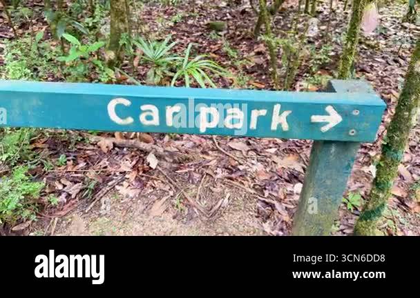 A wooden sign directs visitors to a car park amidst lush greenery ...