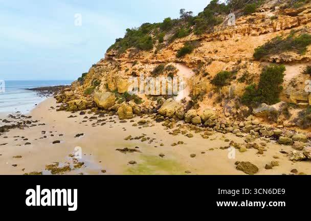 Aerial view of rugged cliffs and sandy beach at Barwon Heads ...